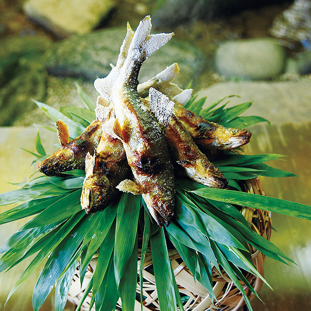 鮎は好んで苔を食む | Nileport