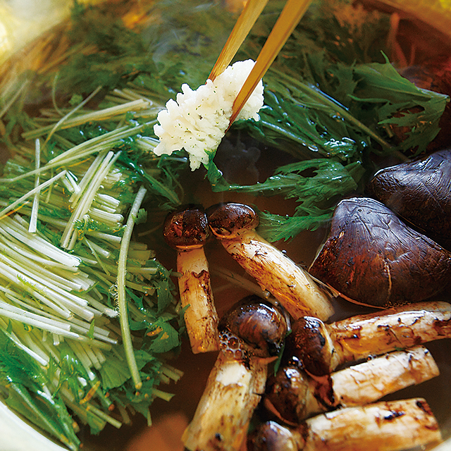 京都の夏と言えば | Nileport