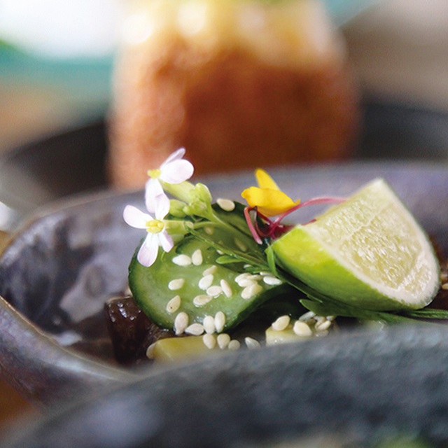 器数寄 | Nileport